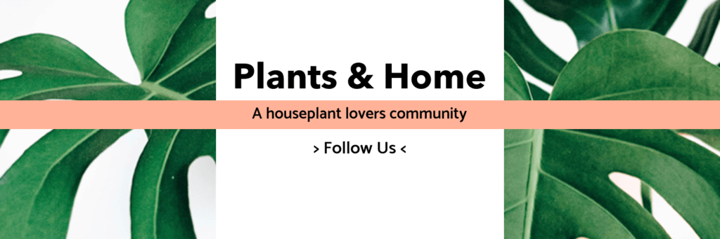 Facebook Cover Maker with exceptional designs - Placeit